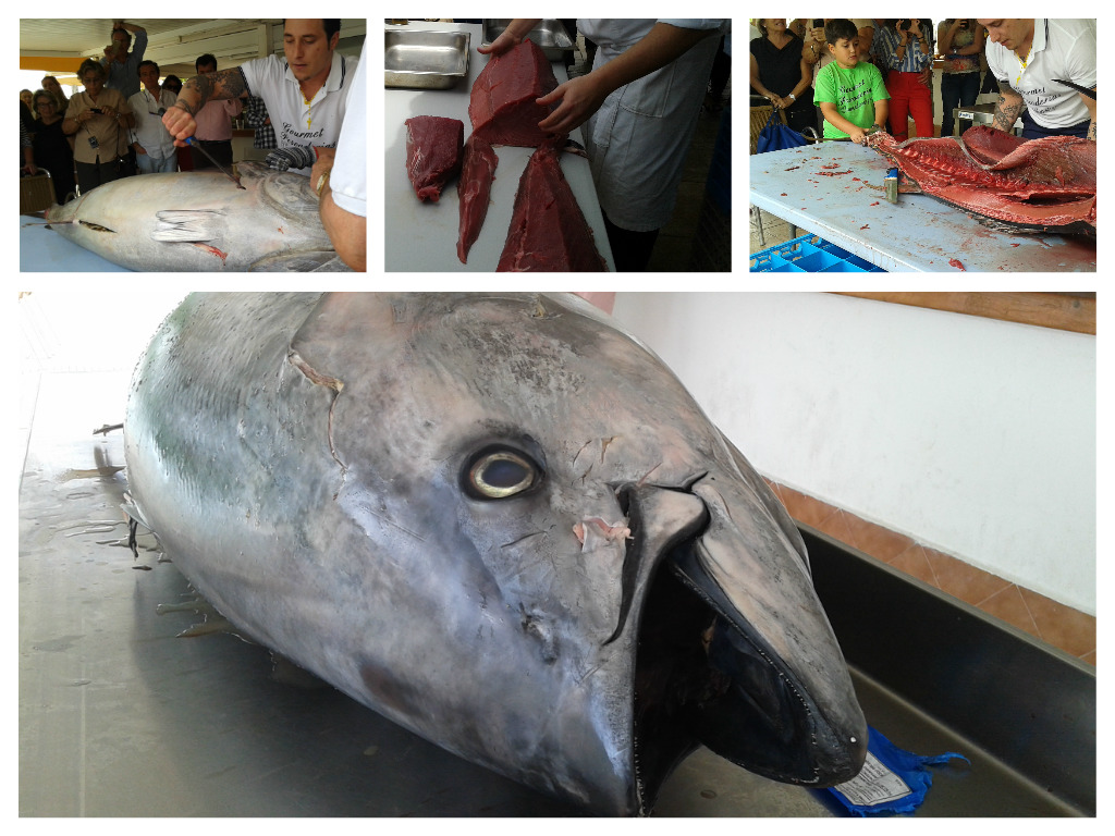 Ronqueo del atún /The tuna butchering process – Discover Sherry