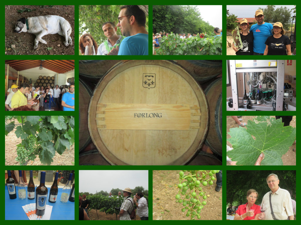 Visita a la Bodega Forlong/ Visit to the Forlong Winery – Discover Sherry