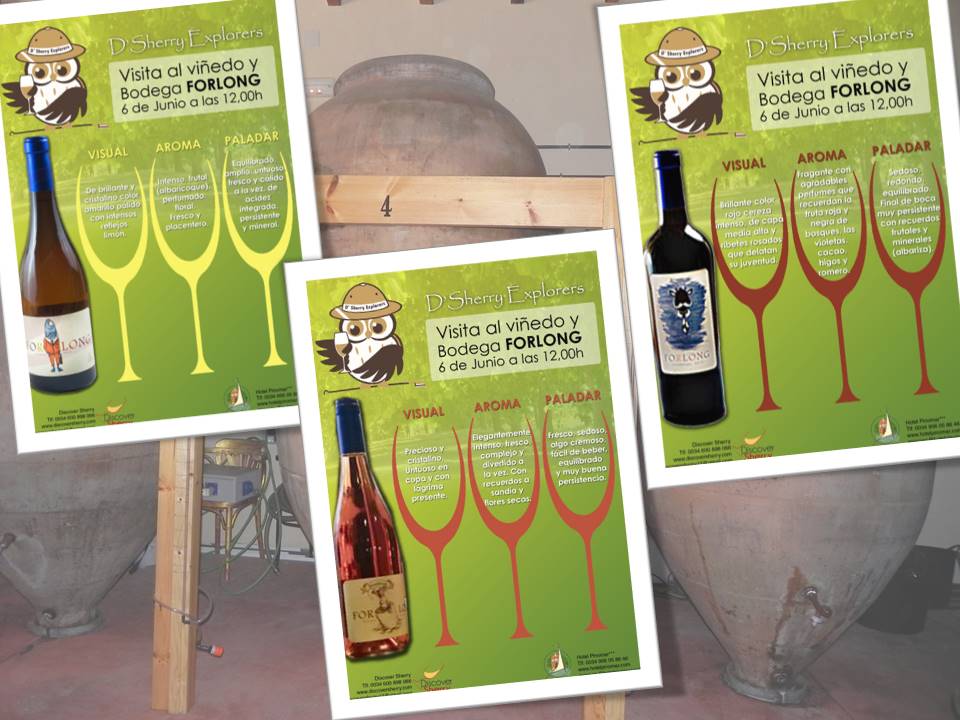 Visita a la Bodega Forlong/ Visit to the Forlong Winery – Discover Sherry