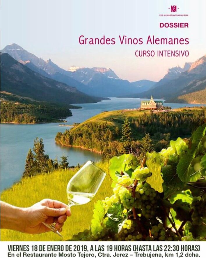 Curso intensivo de vinos alemanes con Tina Heidelberg/Intensive German ...