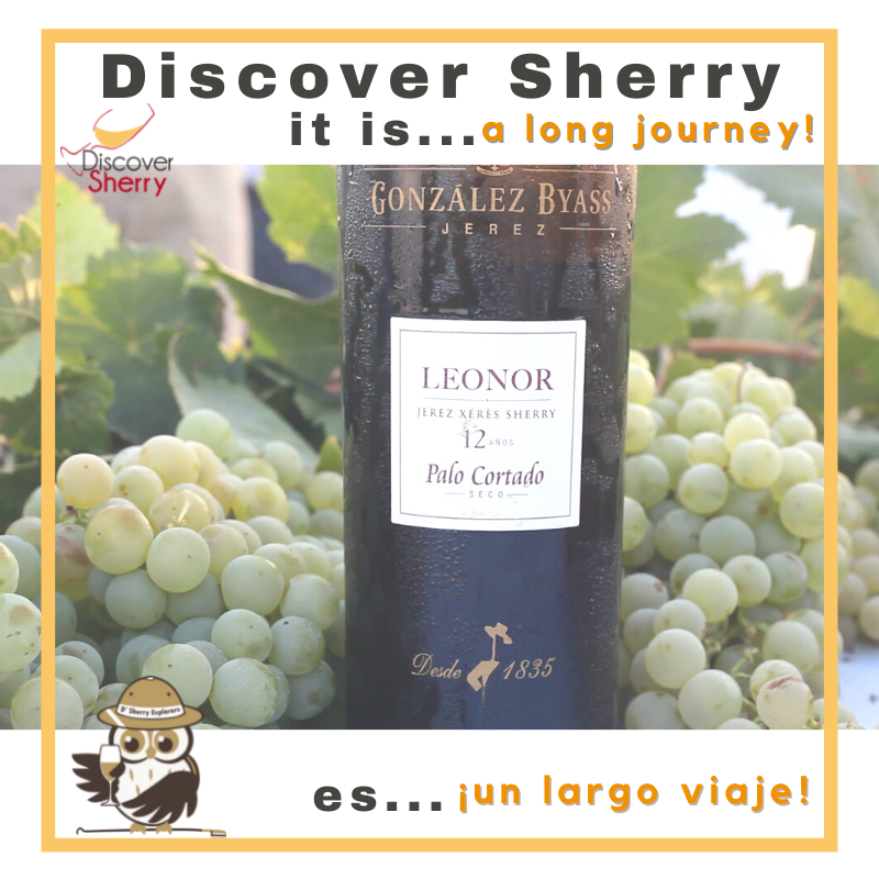 Discover Sherry, it is…a long journey! – Discover Sherry
